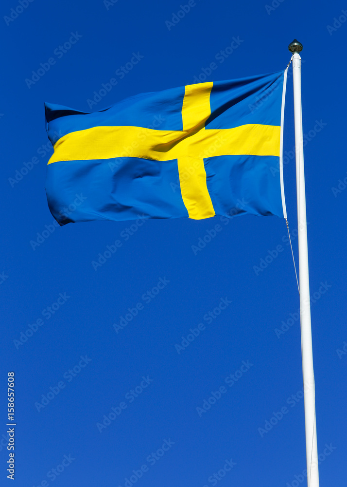 Swedish flag Stock Photo | Adobe Stock