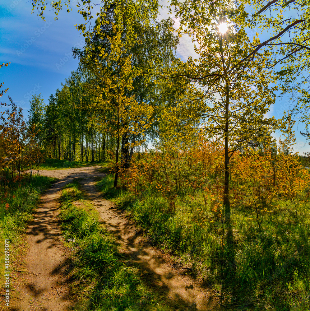 Summer morning Stock Photo | Adobe Stock