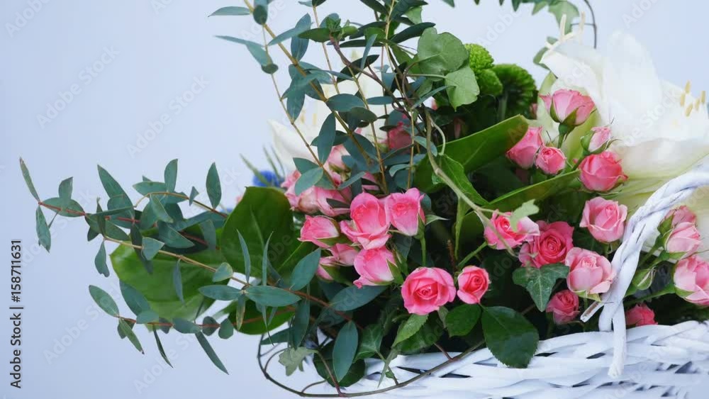 close-up, Flowers, rotation on white background, consists of Amaryllis ...