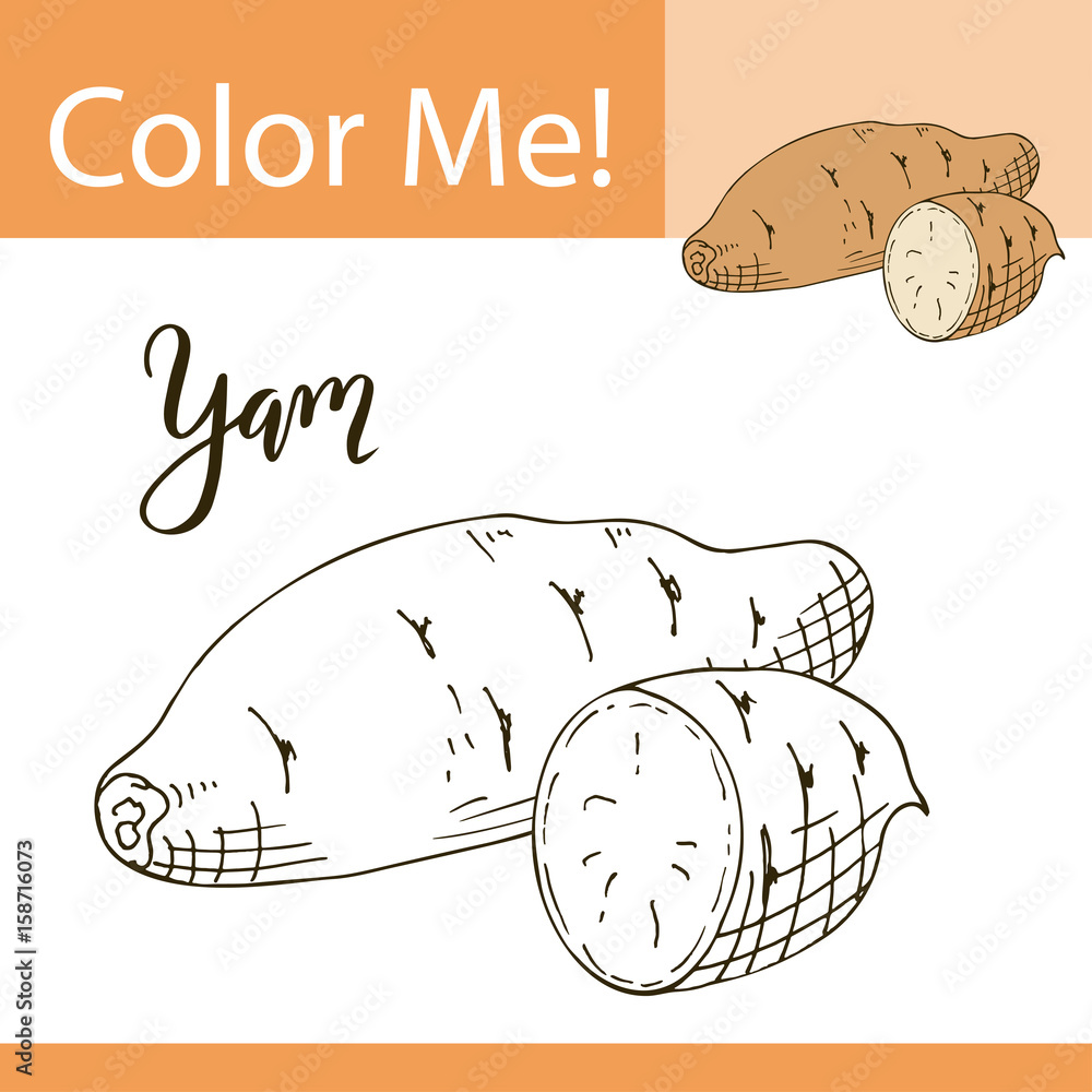 Yam Coloring Book at Susan Pittman blog