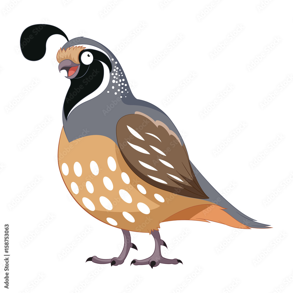 Cartoon happy Quail Stock Vector | Adobe Stock