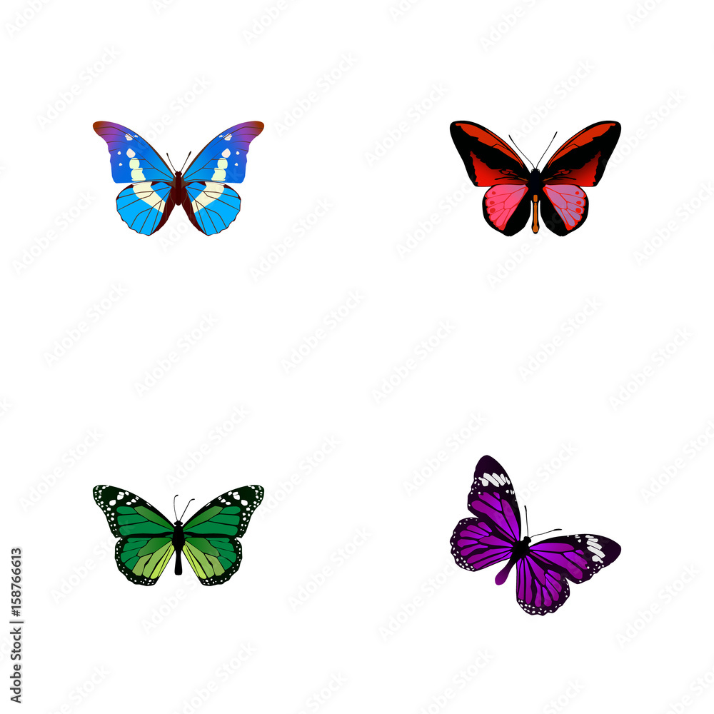 Realistic Callicore Cynosura, Bluewing, Butterfly And Other Vector ...