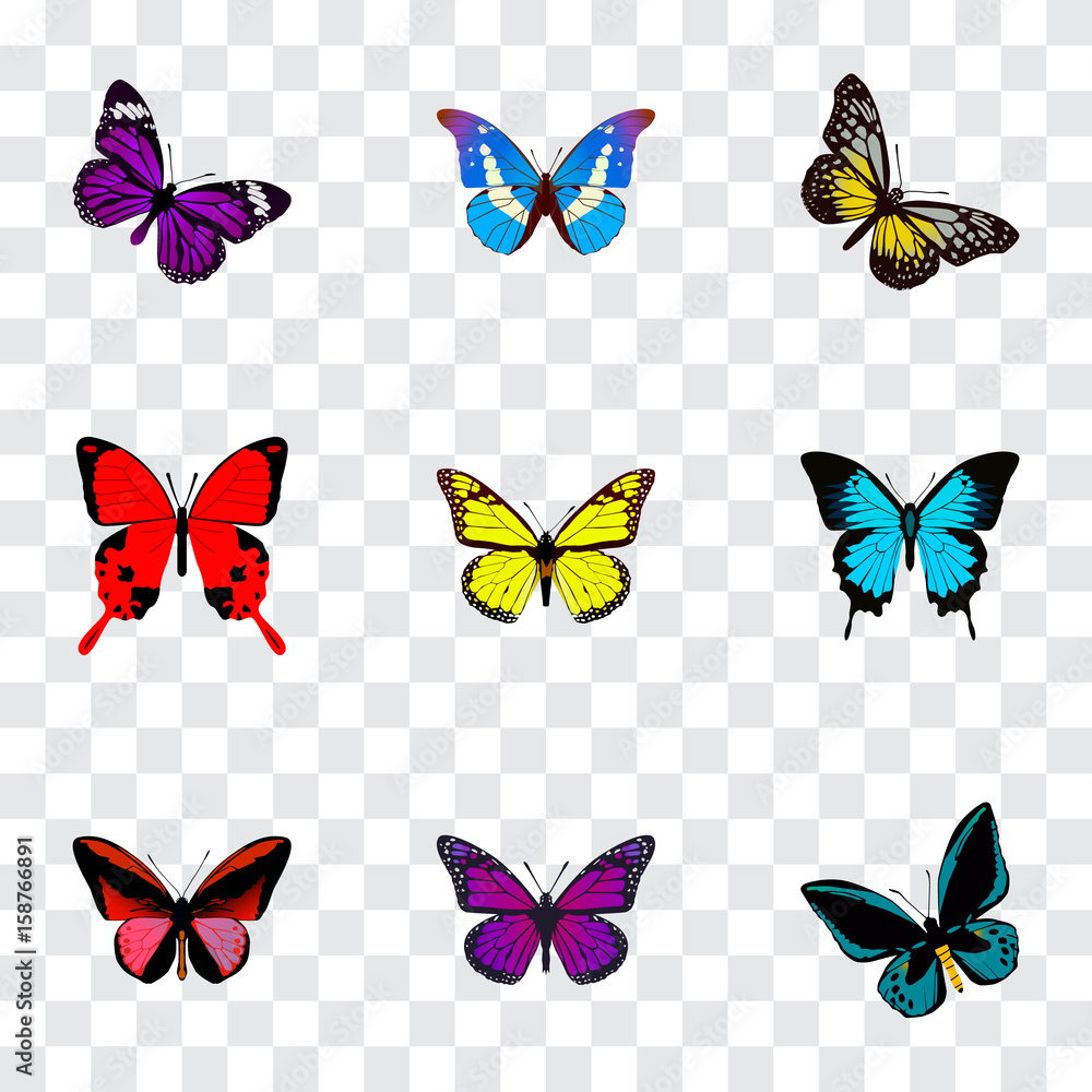 Realistic Purple Monarch, Callicore Cynosura, Bluewing And Other Vector ...