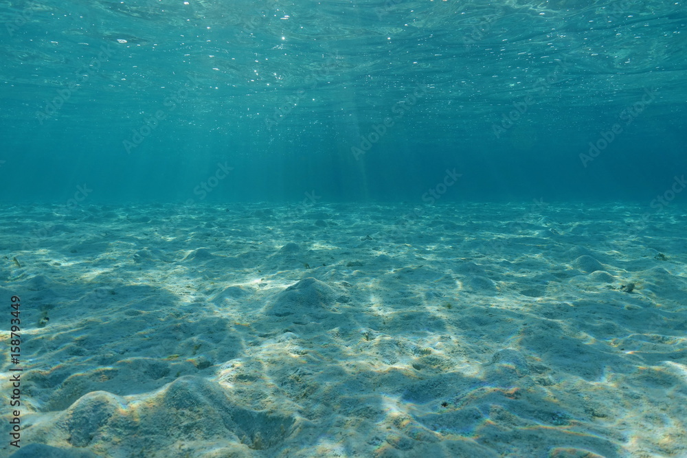 Underwater shallow sandy ocean floor with sunlight through water ...