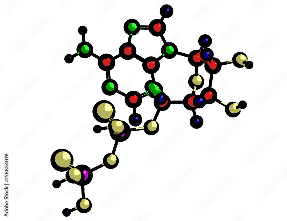 Adenosine Diphosphate Structure