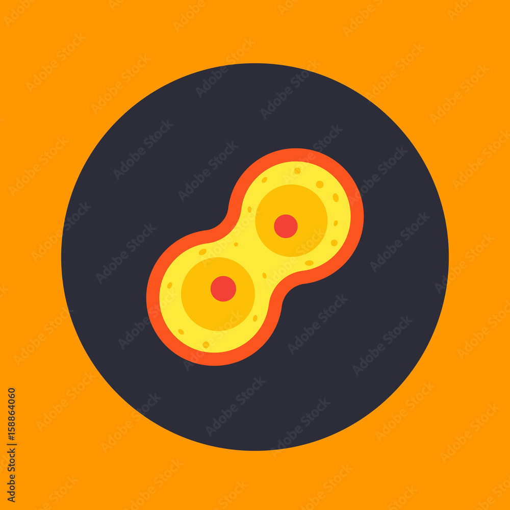 Cell division process, mitosis icon, vector illustration Stock Vector ...