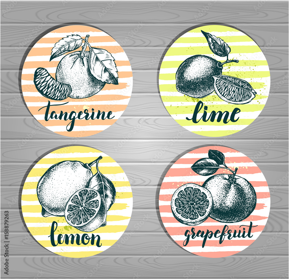 Set of round stickers with citrus fruits. Labels with hand drawn ...