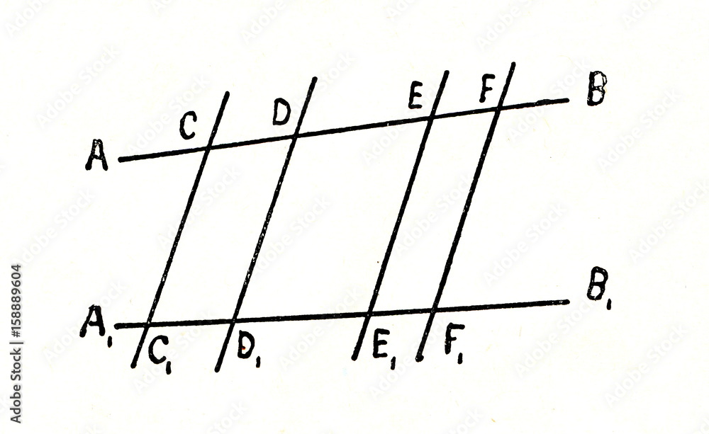 Two straight lines, crossed by parallel lines, are divided pro rata ...
