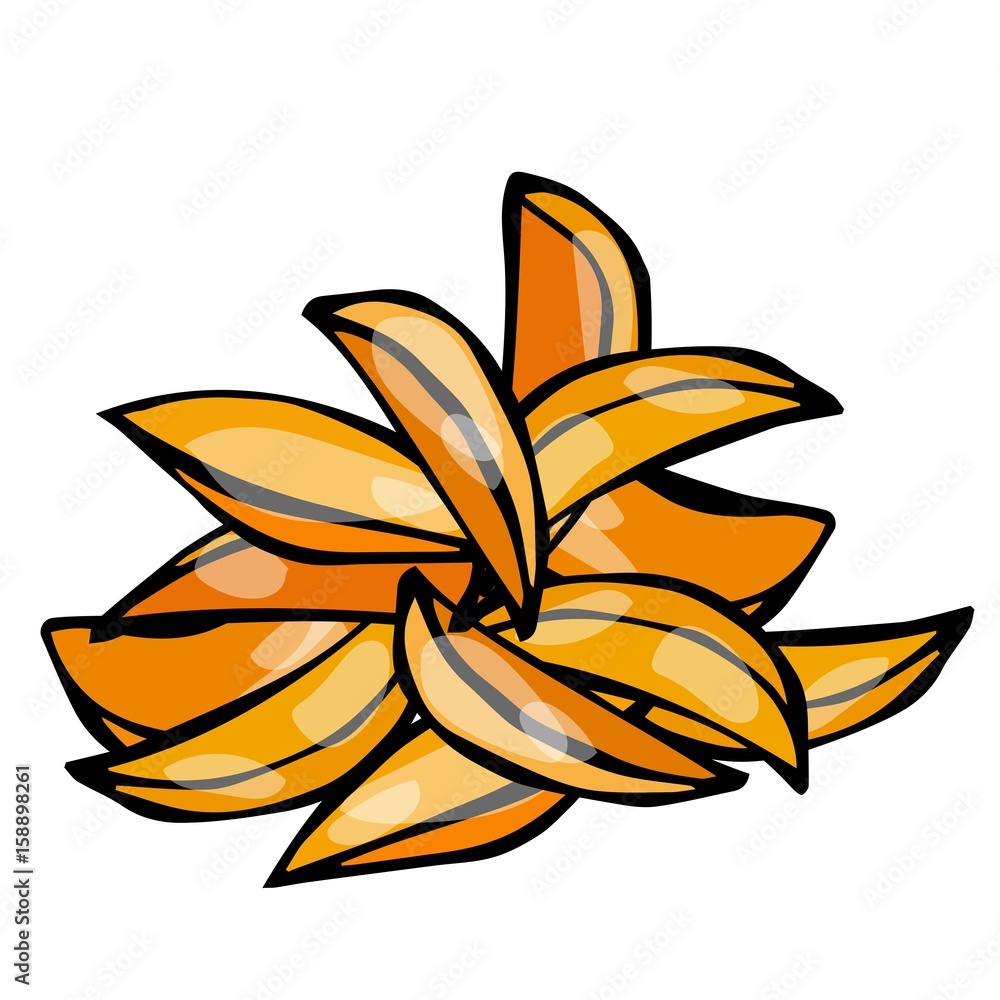 Potato Wedges Set. Fast Food. Isolated On a White Background. Realistic ...