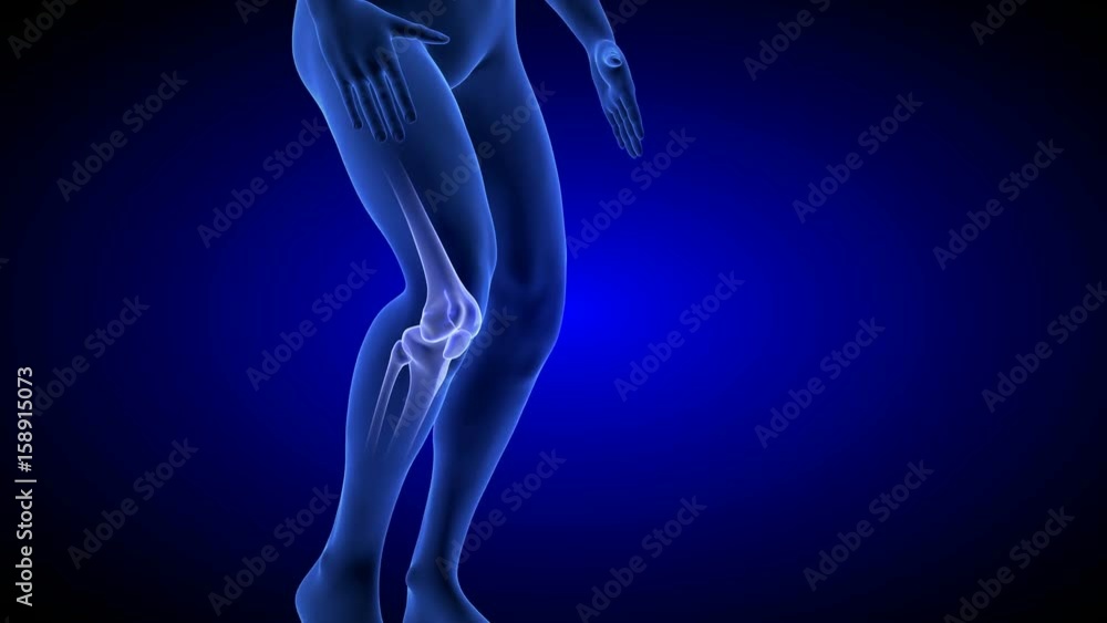 Knee Pain animation. Blue Human Anatomy Body 3D Scan render Stock Video ...