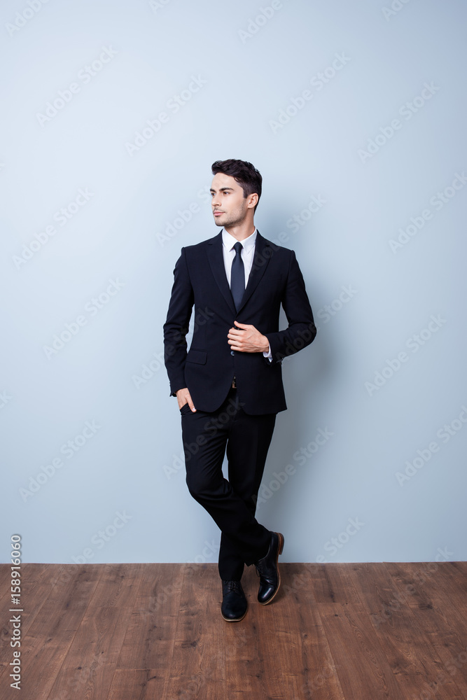 Full size portrait of stylish young brunete banker standing on gray ...