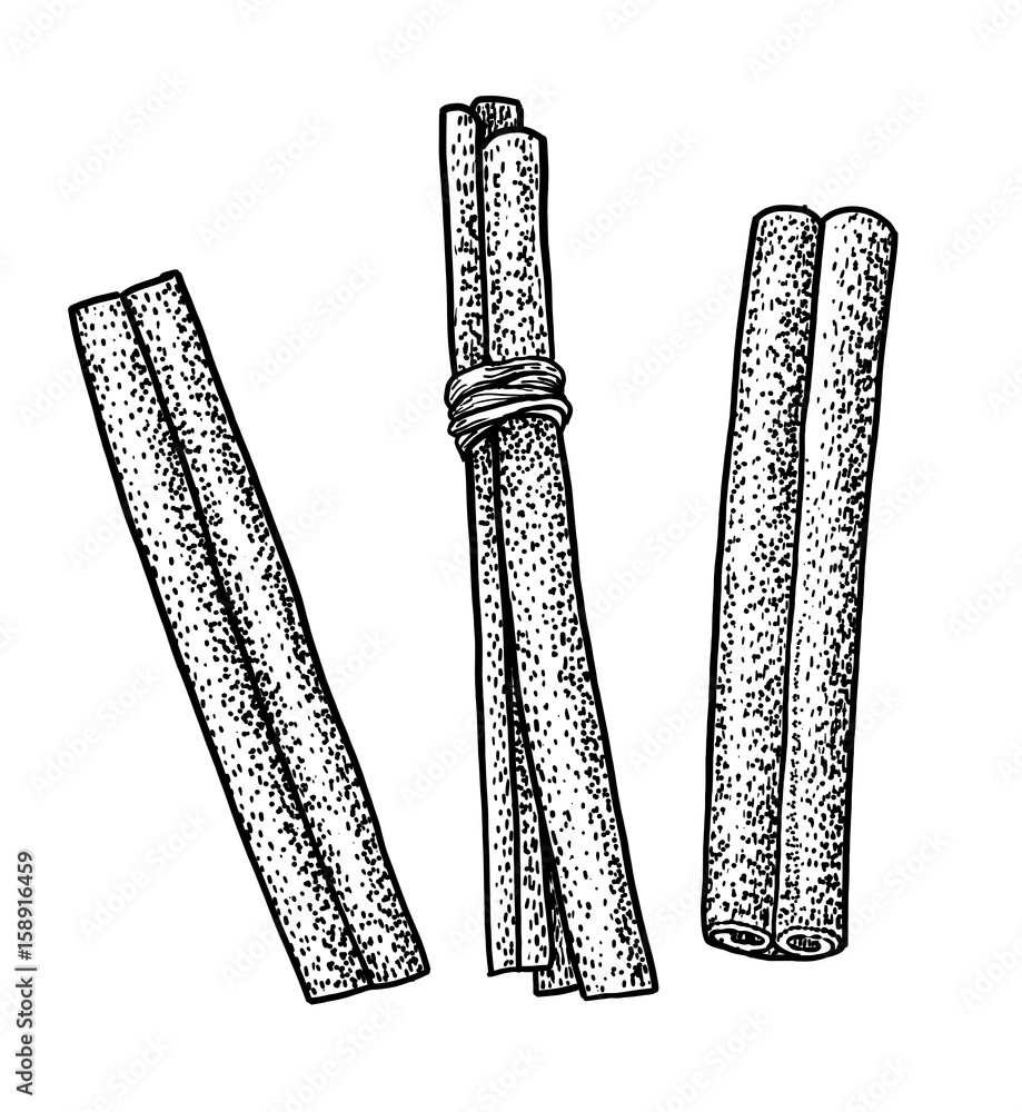 Cinnamon illustration, drawing, engraving, ink, line art, vector Stock ...