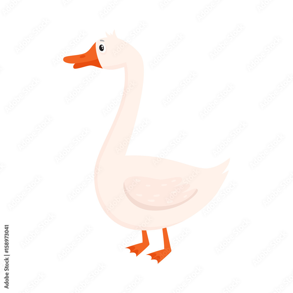 Cute and funny farm goose, cartoon vector illustration isolated on ...