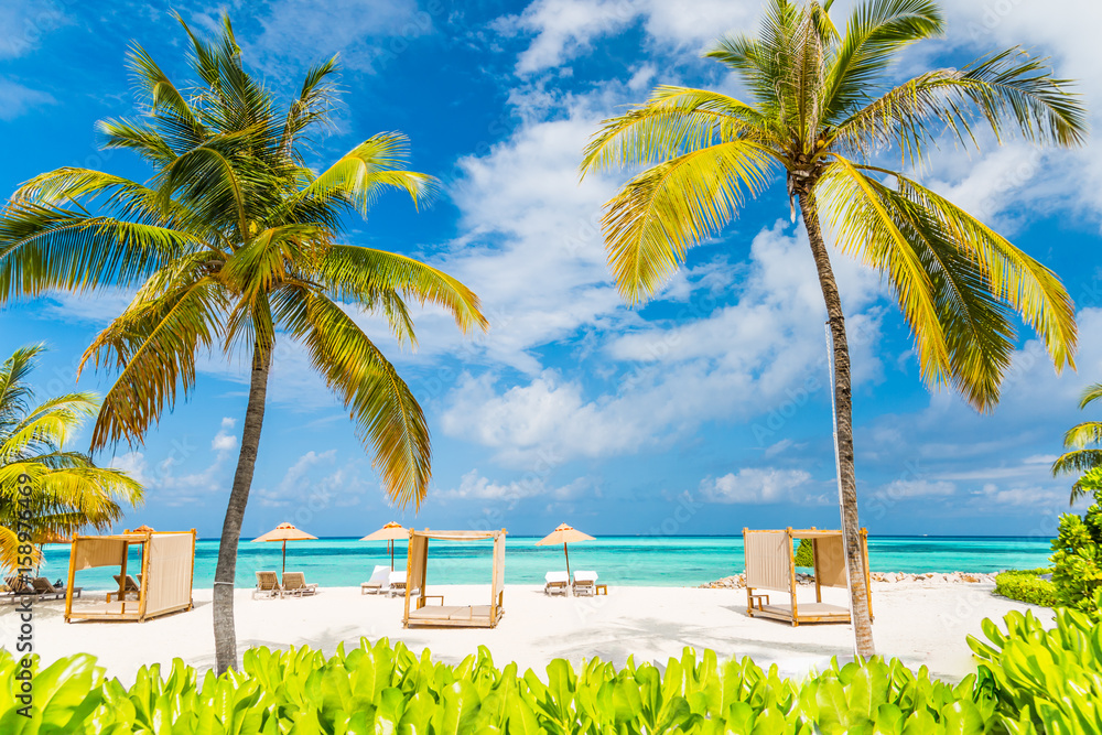 Summer holiday and vacation design. Inspirational tropical beach, palm ...