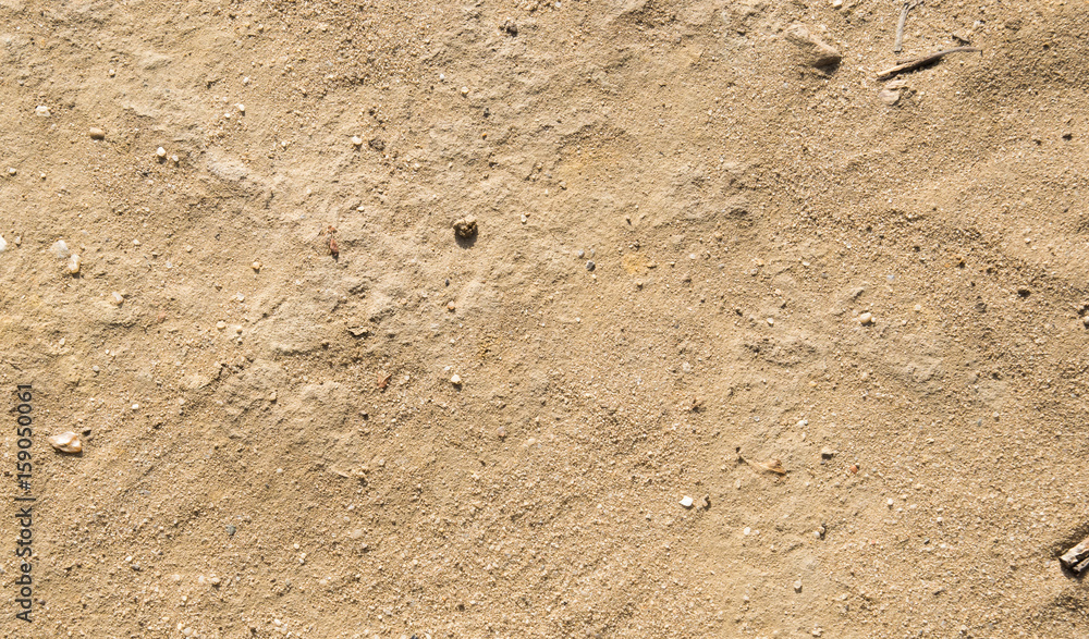 rocky summer beach sand texture Stock Photo | Adobe Stock