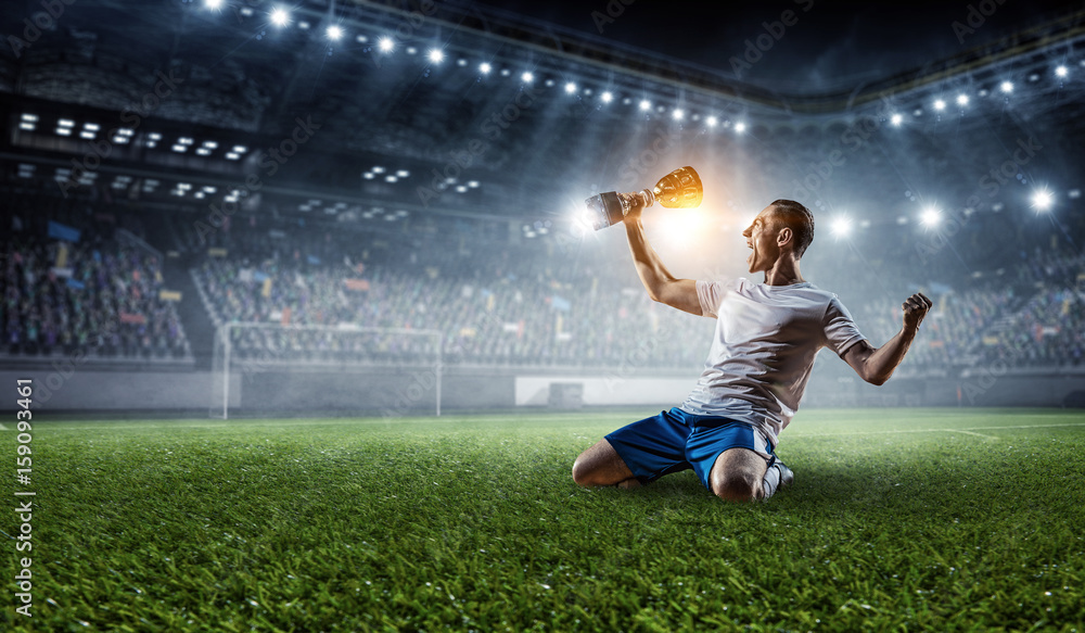 He is the champ . Mixed media Stock Photo | Adobe Stock