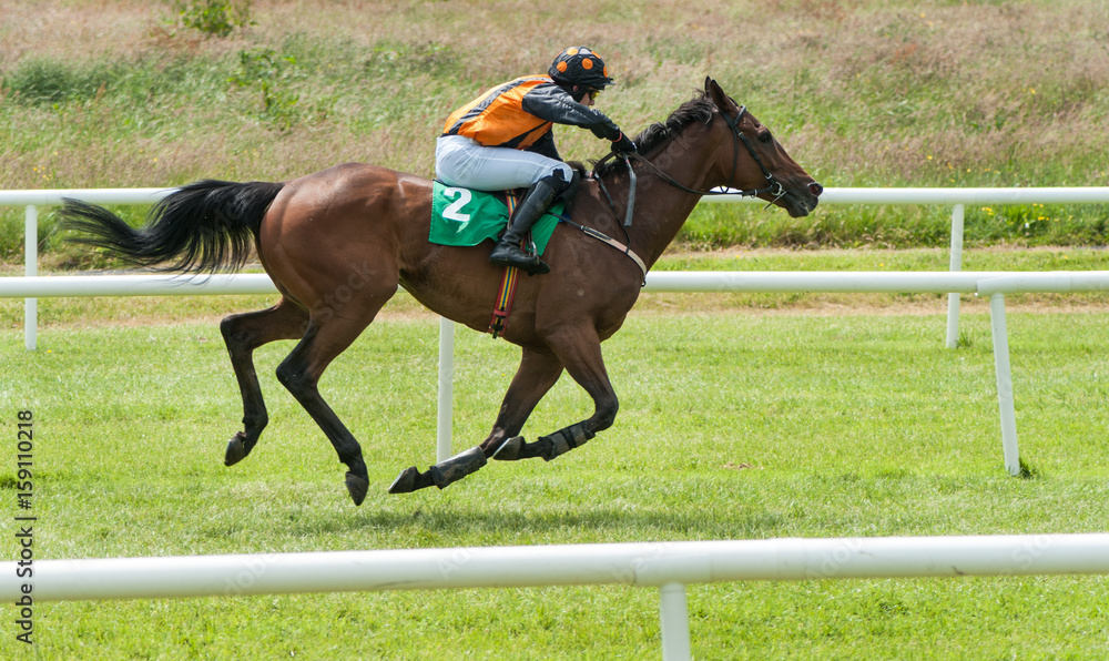 Jockey and racehorse running on the race track Stock Photo | Adobe Stock