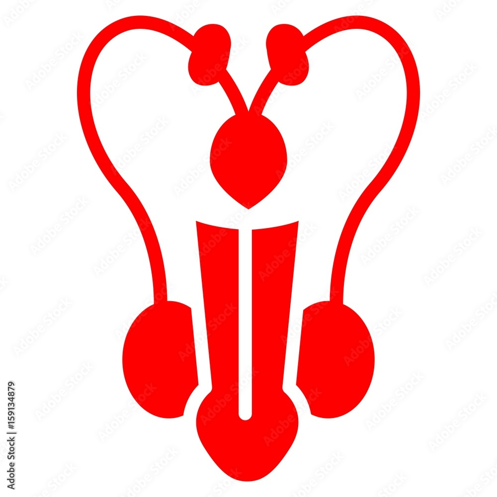 Male reproductive system Stock Vector | Adobe Stock