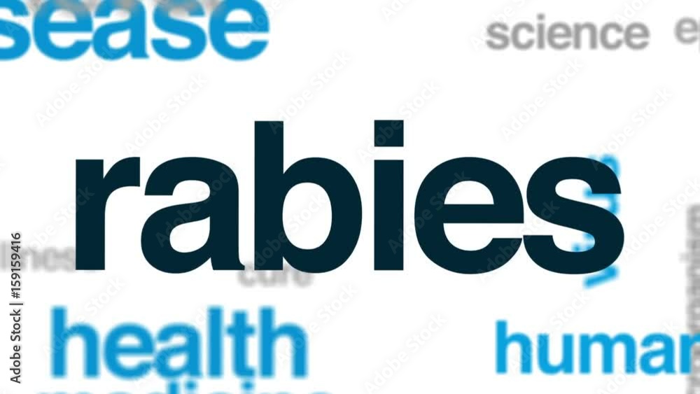 Rabies animated word cloud, text design animation. Stock Video | Adobe ...