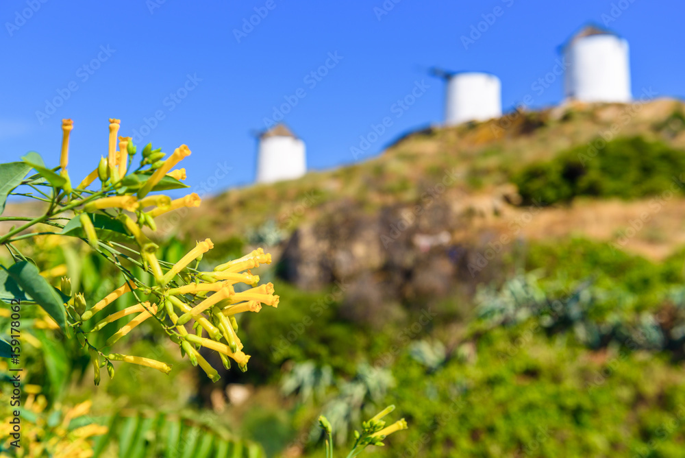 Blurred three traditional windmills in Tripodes also known as Vivlos ...