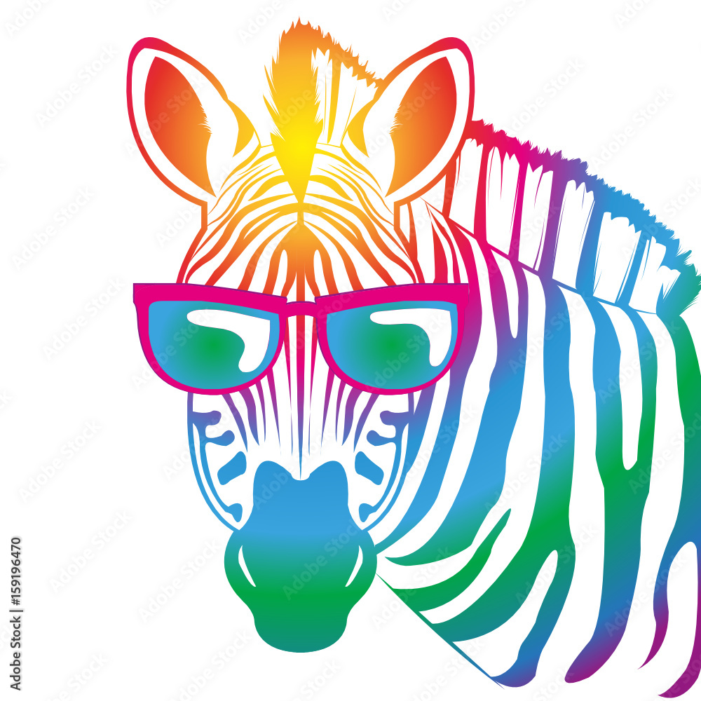 cool Zebra Stock Vector | Adobe Stock