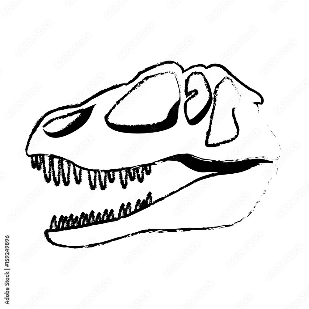 dinosaur skull predator ancient fossil vector illustration Stock Vector ...