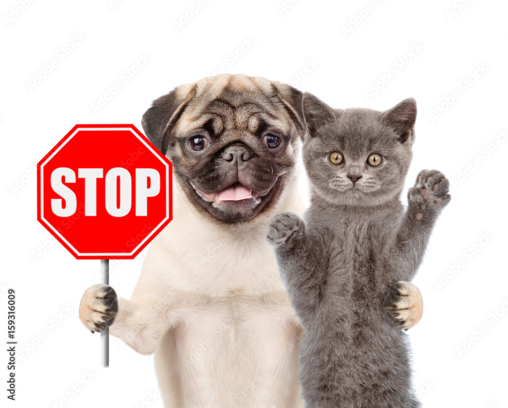Cat and dog with the "stop" sign. Isolated on white background Stock ...