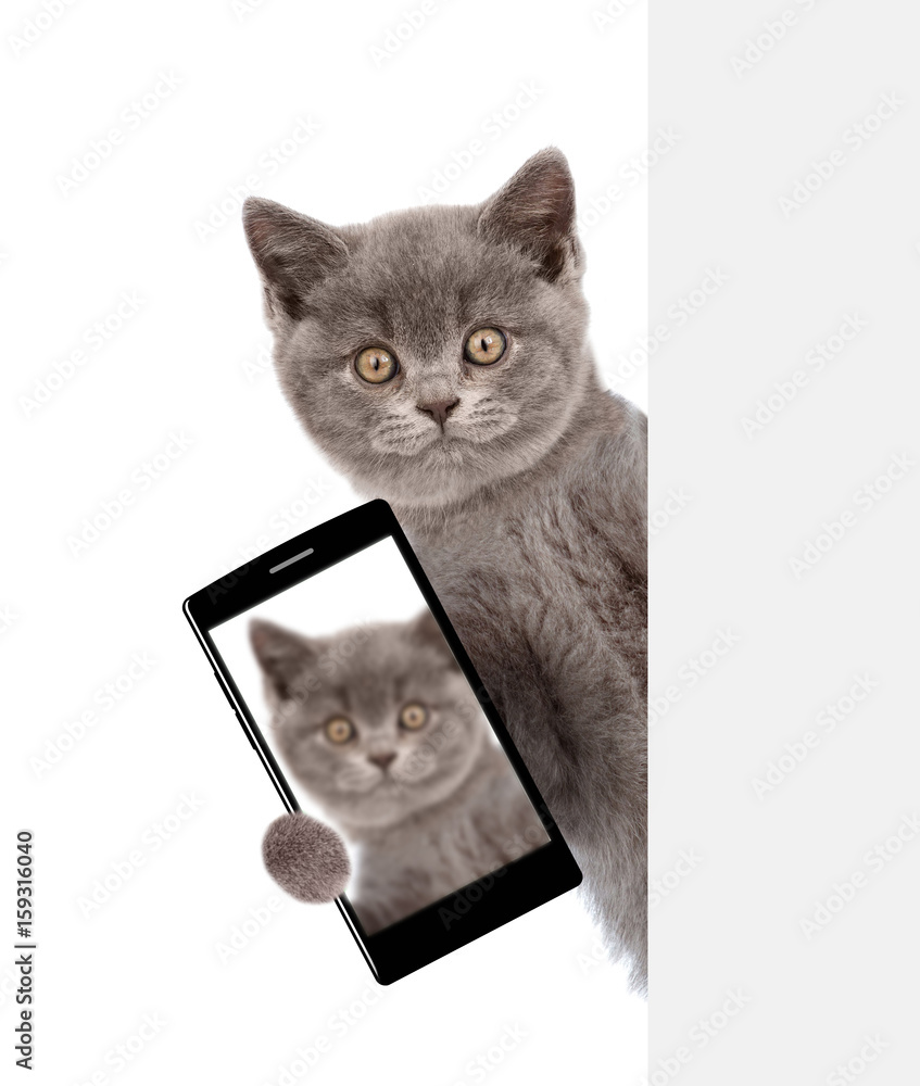 Cat with smartphone peeking above white banner and taking a selfie ...