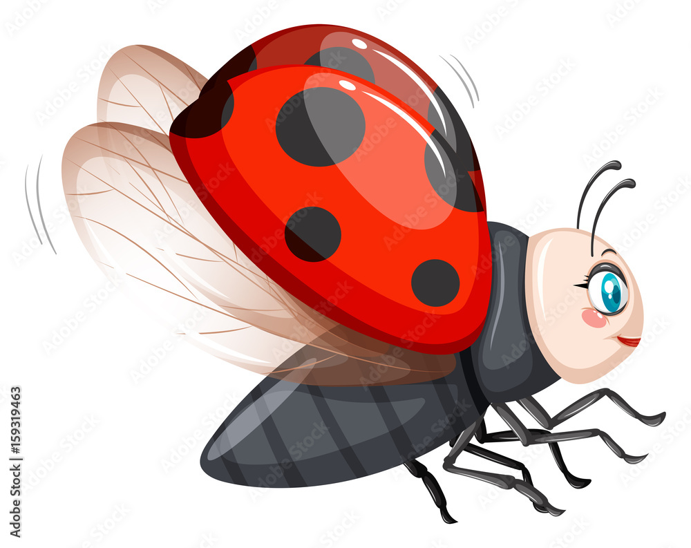 Cute ladybug flying on white background Stock Vector | Adobe Stock