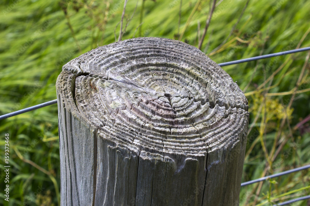 The top of an old and weathered agricultural fence post showing the ...