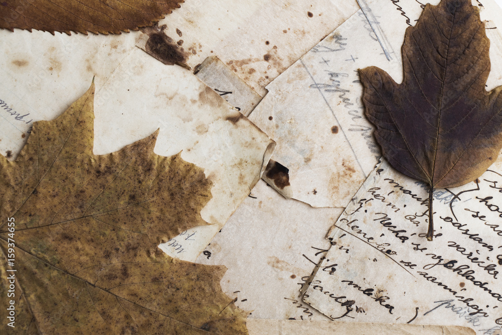 Still life. Top view of old paper with dry leaves. Recipe. Czech ...