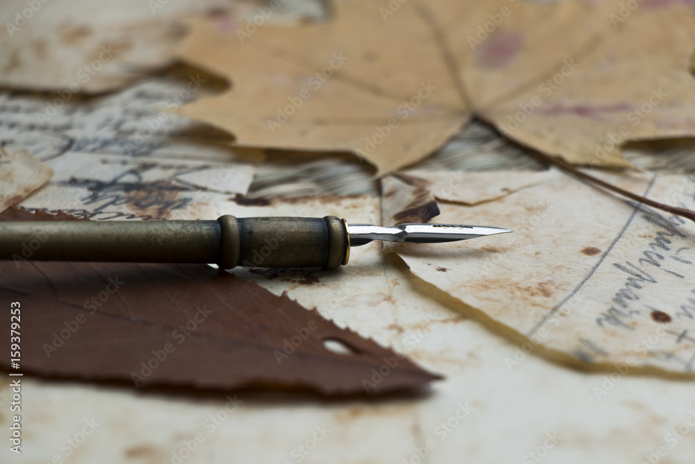Still life. Old handwritten notes on stained papers closeup. Dried ...