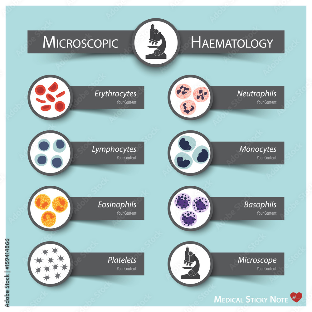 Microscopic Haematology . Medical sticky note style ( Bone marrow ...
