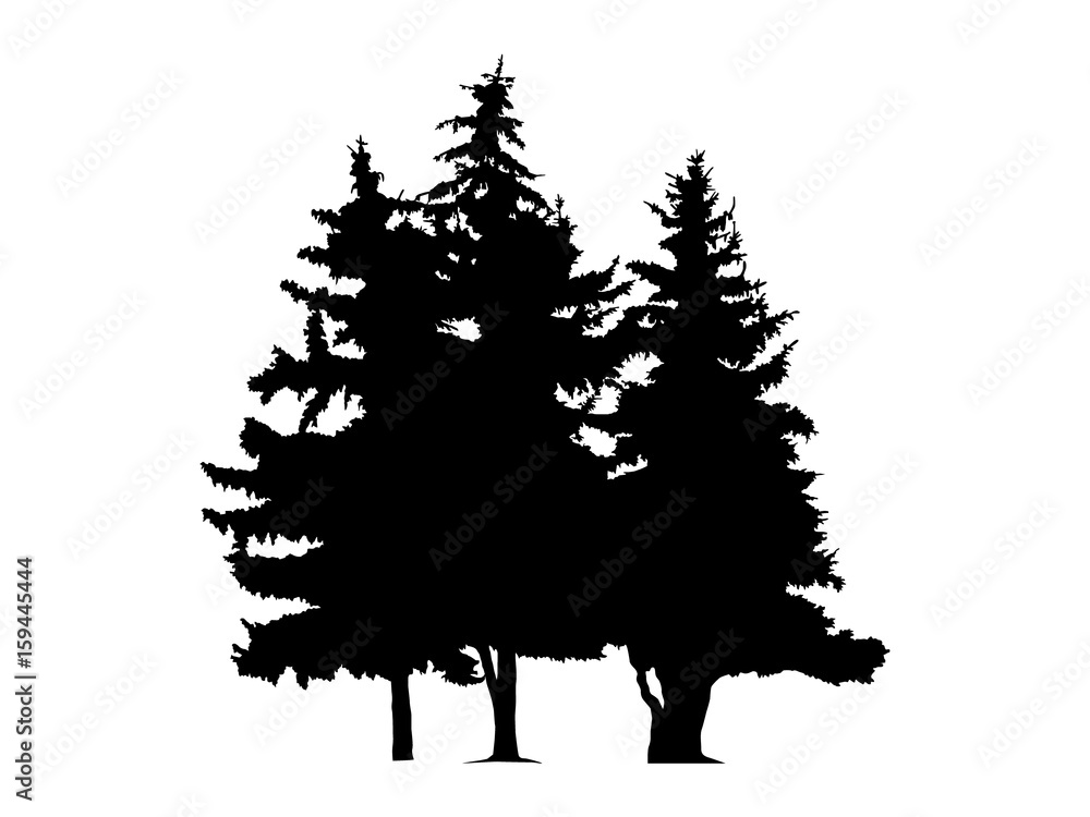 Silhouette of three pine trees. Hand made. Stock Vector | Adobe Stock