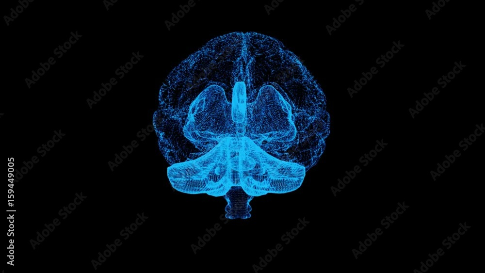 3d animation graphic design of brain and brain stem in alpha background ...