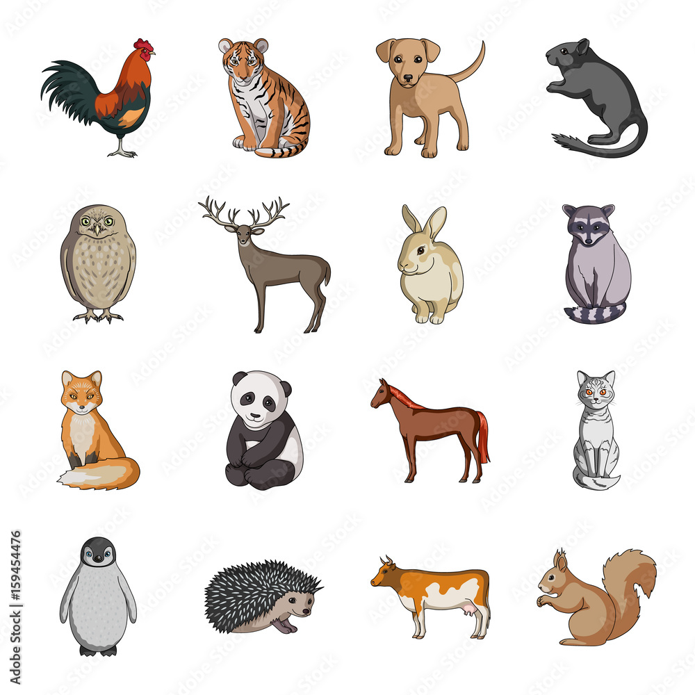 Deer, tiger, cow, cat, rooster, owl and other animal species.Animals ...