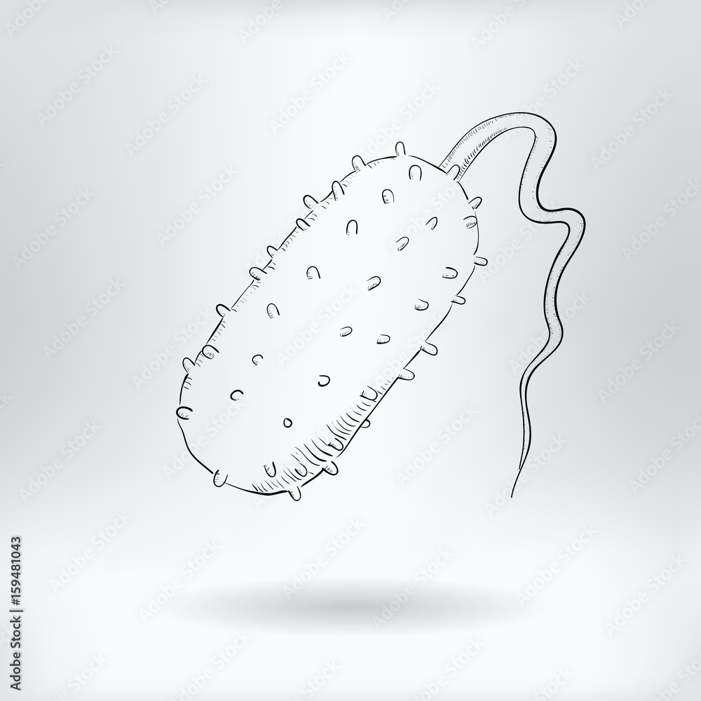 Cartoon Symbol of Flagellate Germ - Science Microorganism Concept ...