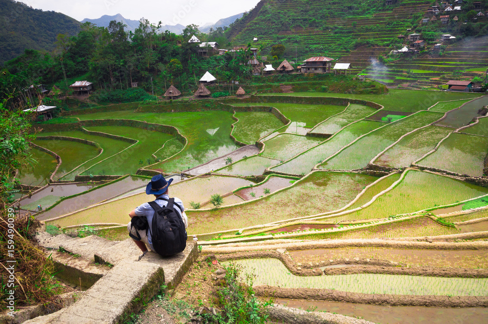 Man admires the beautiful rice terraces.A view of the picturesque rice ...