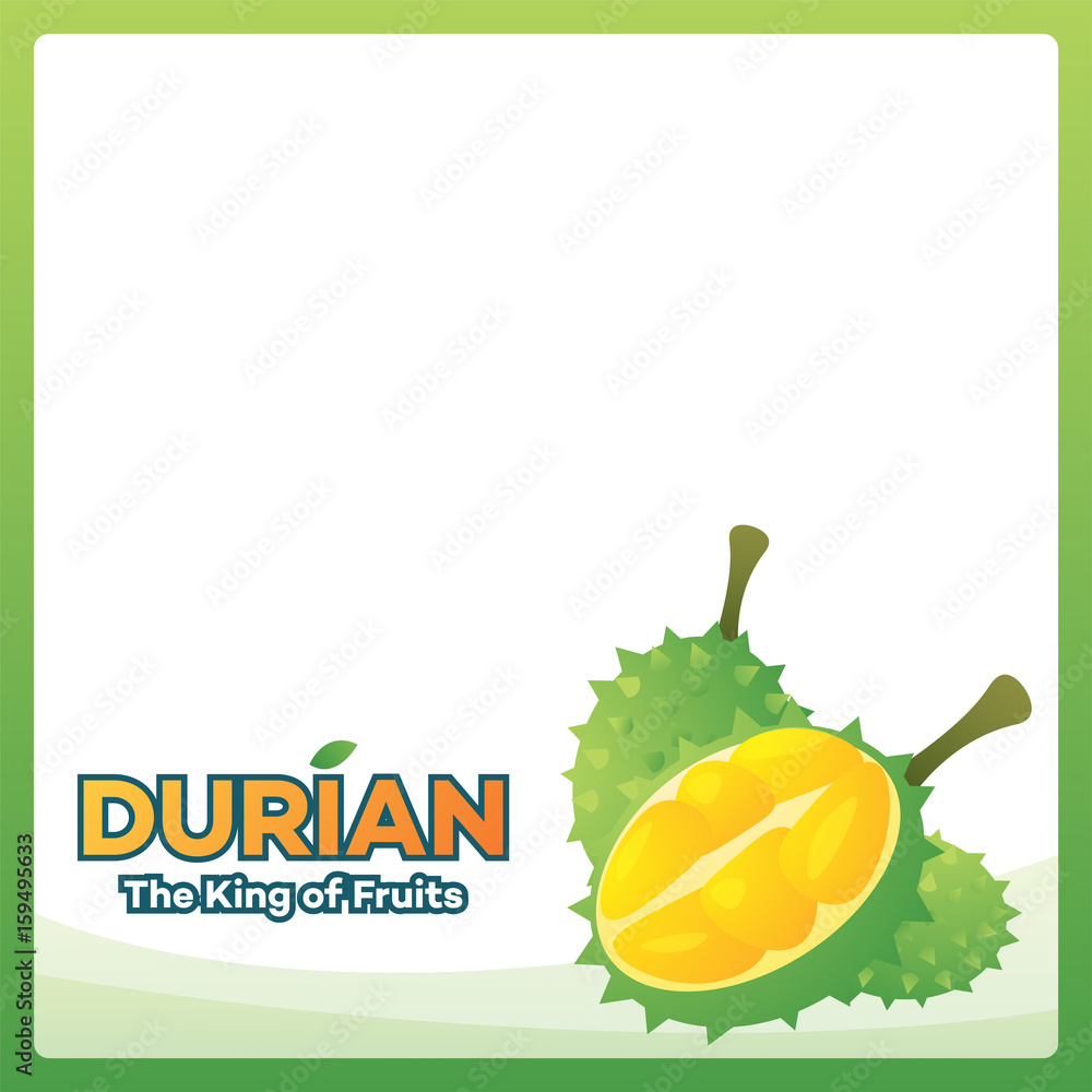 Durian King of fruits Vector Illustration Stock Vector | Adobe Stock