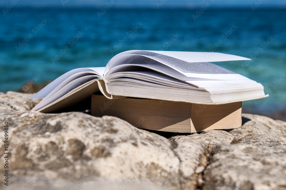 Reading open book at beach near the sea during summer vacation Stock ...