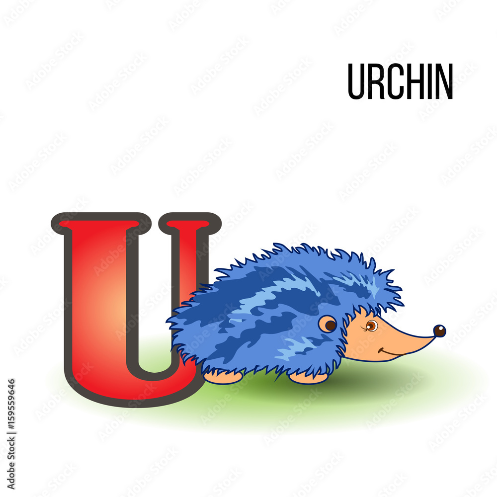 Cute Zoo alphabet U with cartoon urchin, kid animal vector funny ...