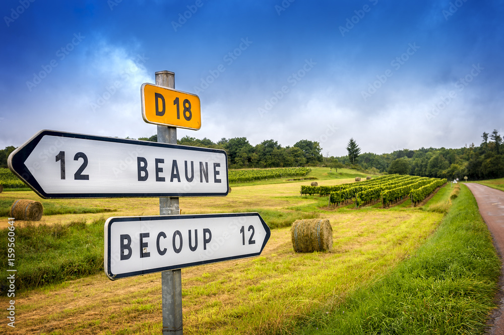 Wine French country road signs leading to the top burgundy vineyards ...