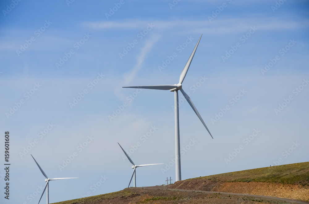 Low angle view group of wind turbines towers again cloud blue sky on a ...