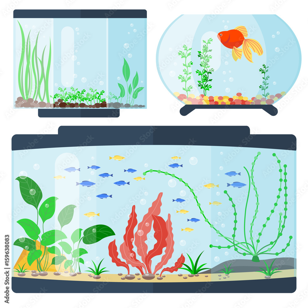 Transparent aquarium vector illustration habitat water tank house ...