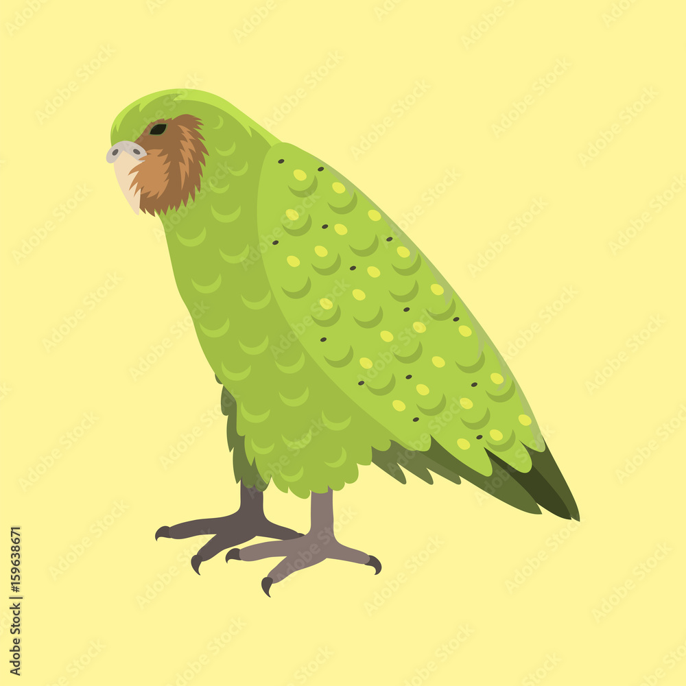 Cartoon tropical kakapo parrot wild animal bird vector illustration ...