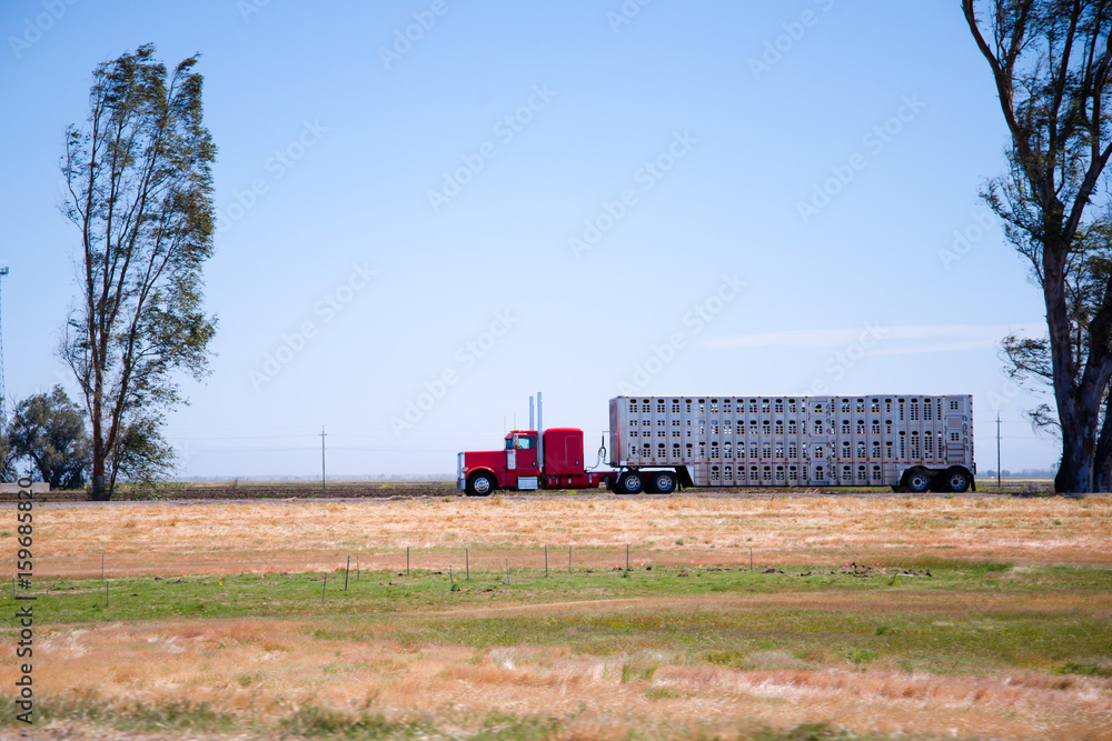 Profile of classic red rig semi truck with trailer for transporting ...