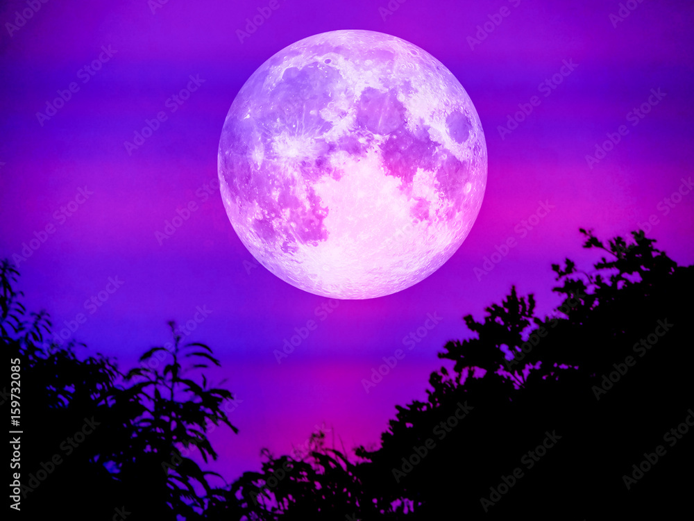 super moon and blur shadow leaves over forest Stock Photo | Adobe Stock