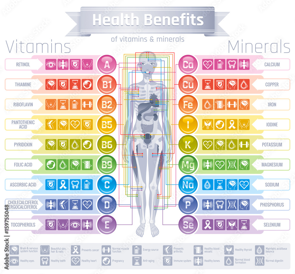 Vitamins And Minerals Chart With Functions