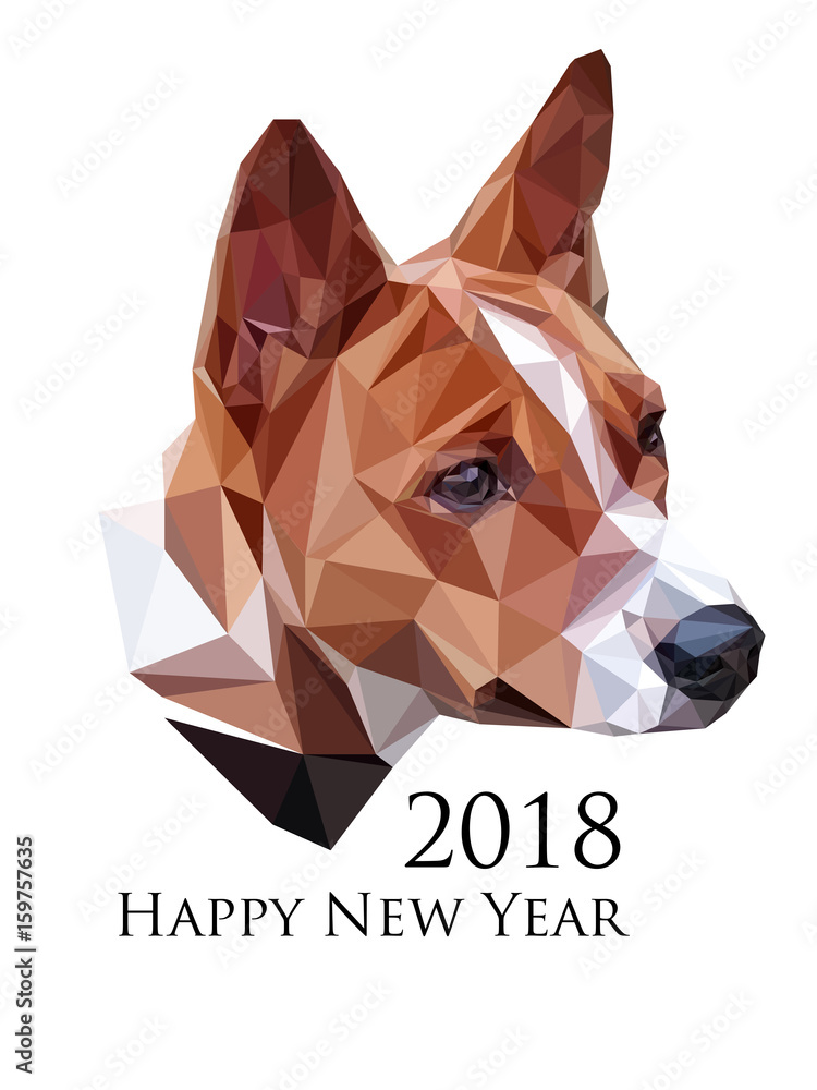 Color portrait of the Basenji Dog, on white background, Chinese ...