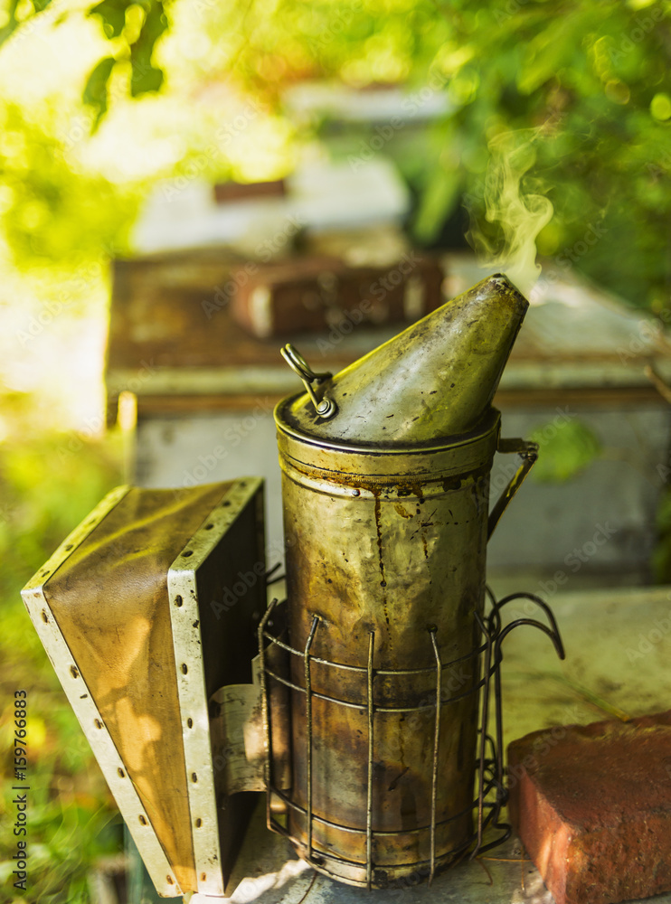 Hope, Bee smoker on beehive Stock Photo | Adobe Stock